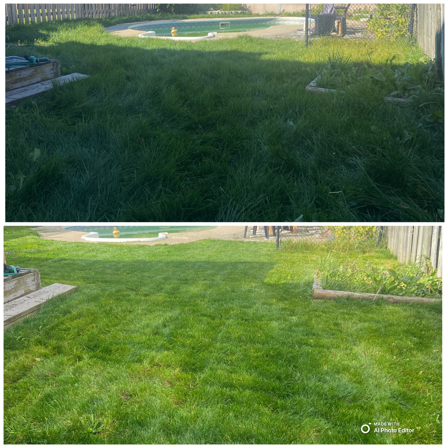 Anne of Green Gardens | Professional Lawn & Garden Care in the GTA